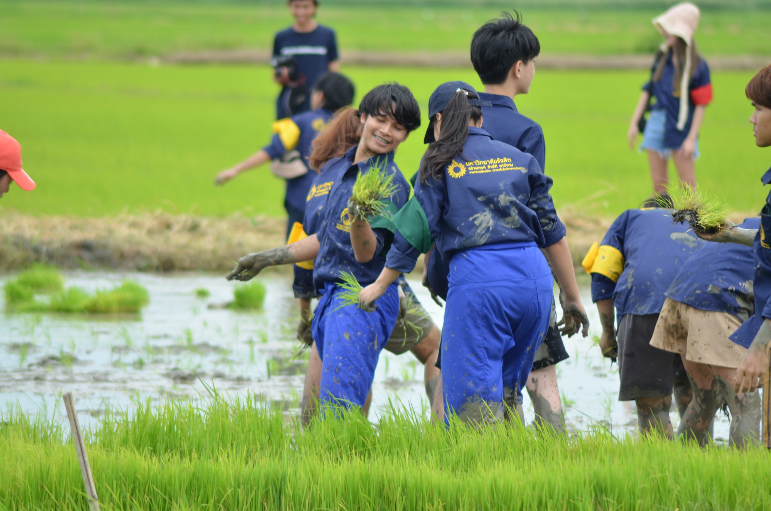 วิทยาลัยนวัตกรรมเกษตร เทคโนโลยีอาหาร – Graduation Ceremony 2023 ...